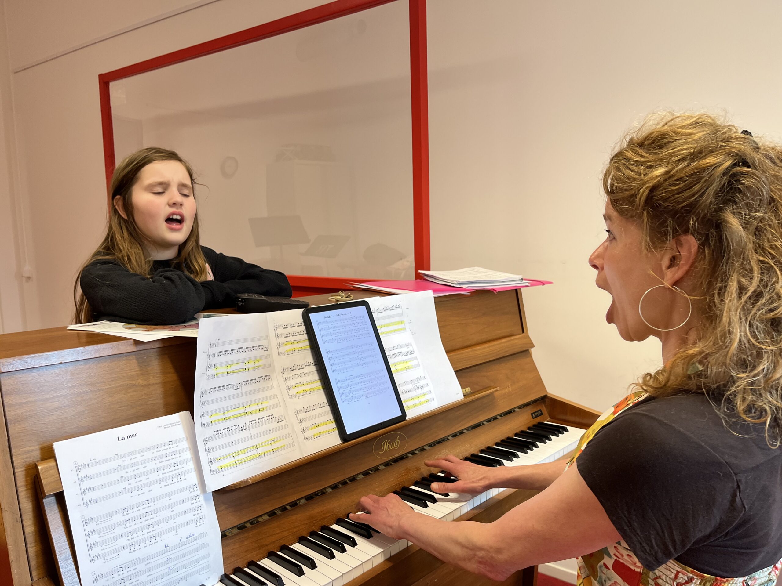 Zang - Toonbeeld Castricum